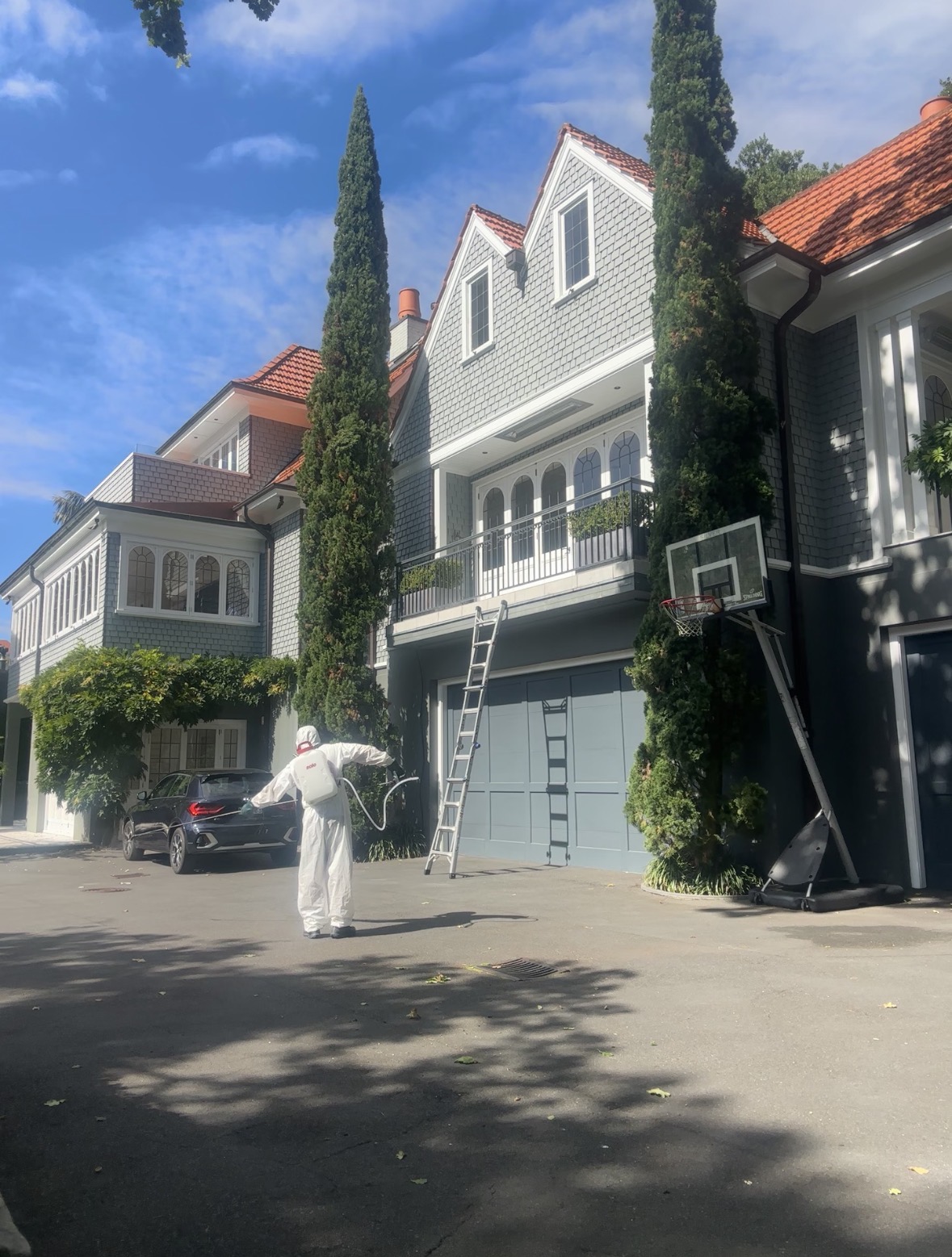 Pest OFF Company — Professional Pest Control Auckland